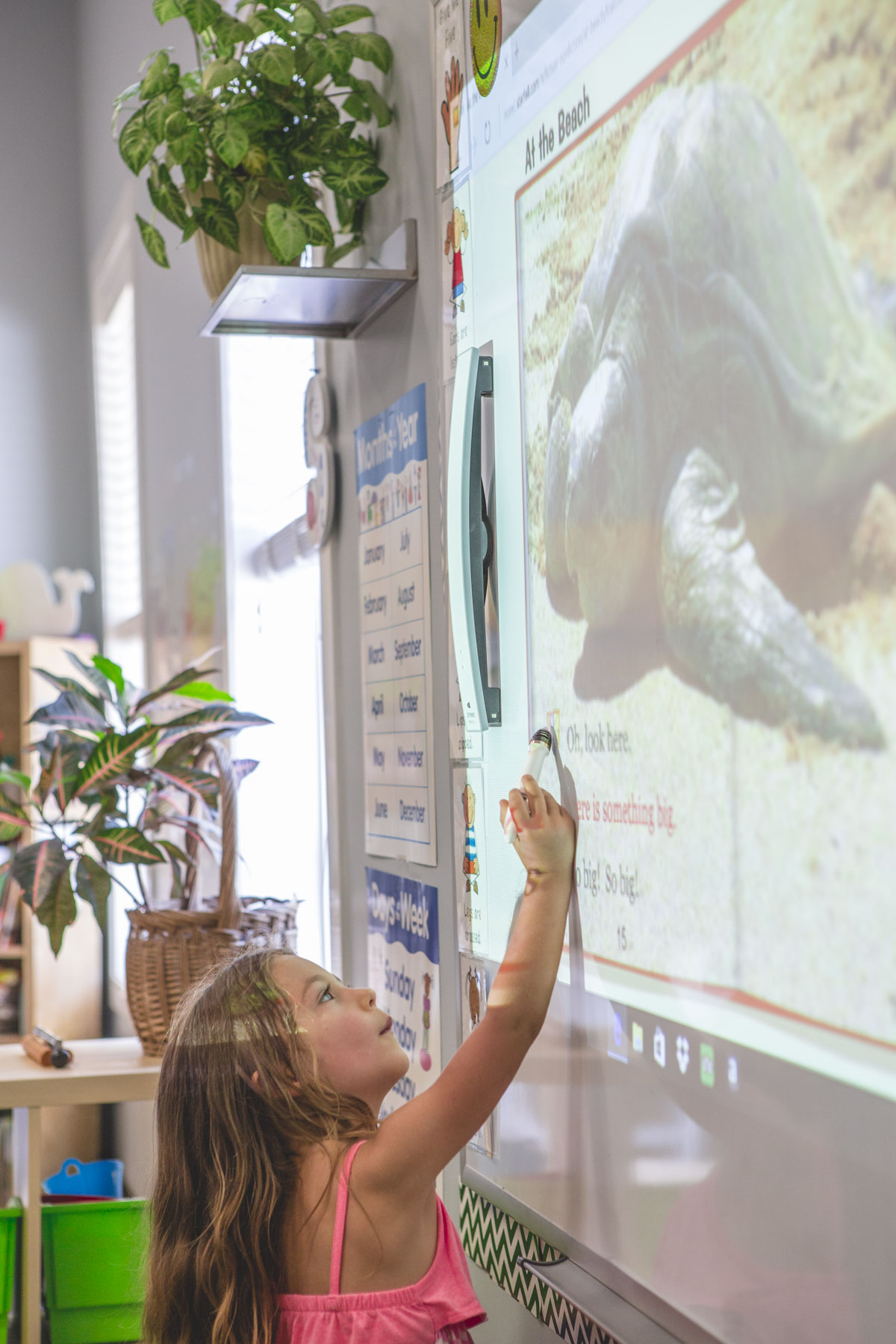 Voluntary Pre Kindergarten (VPK) | Island Prep School